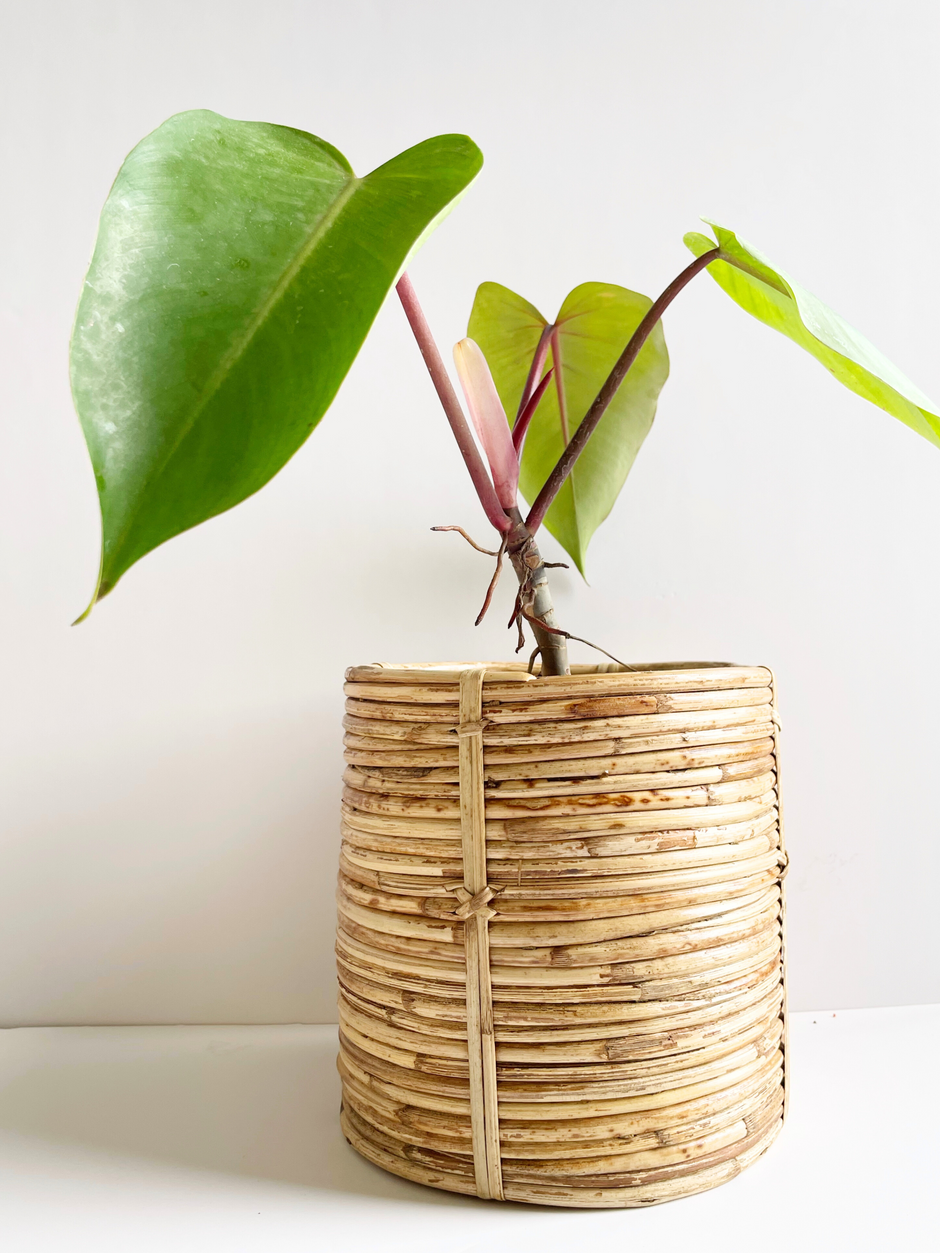 Hand Bloom India – handbloom